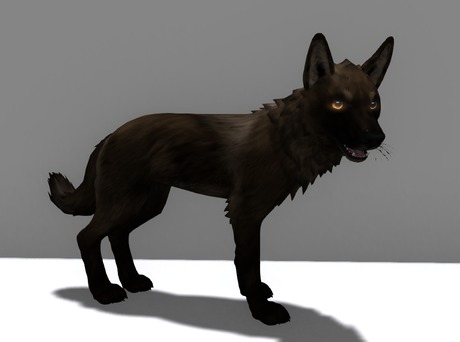 Second Life Marketplace - [DNA] TWI Wolf Texture - Sidka