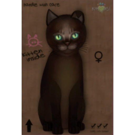 Second Life Marketplace - KittyCatS Box - New Born Kitten