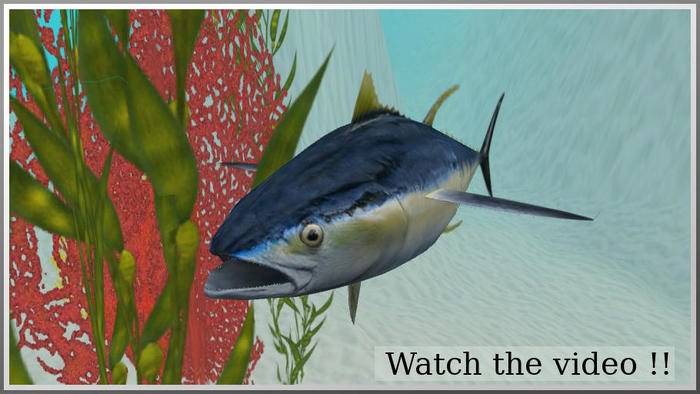 Second Life Marketplace - 90011 yellow fin tuna