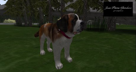 Second Life Marketplace - St. Bernard Dog Jakob mesh