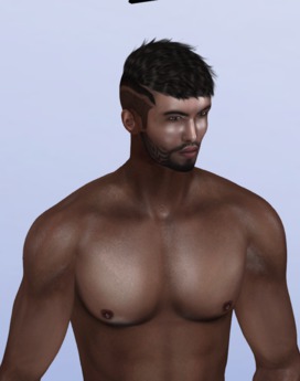 Second Life Marketplace - Kent shape for META