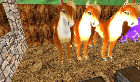 Second Life Marketplace - Amaretto Breedables Bundle-Overo Amber