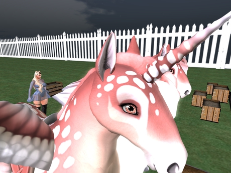 Second Life Marketplace - Amaretto Breedables Bundle Heavenly Fortitude