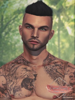 Second Life Marketplace - Diamond Beauty - Shape David Demo (LeLutka Guy)