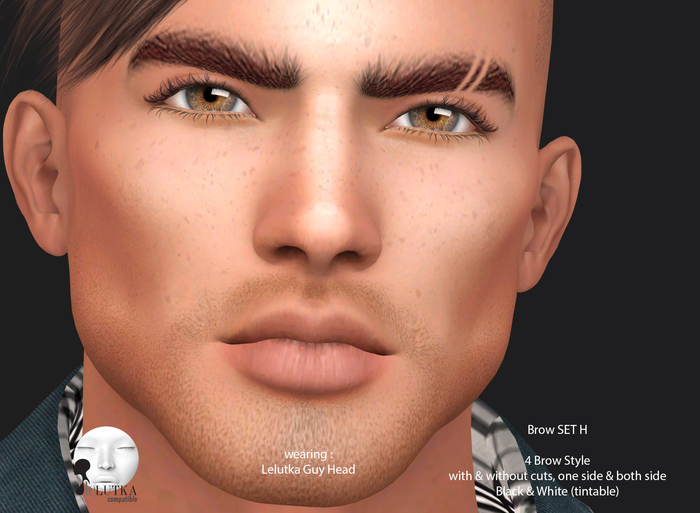 Second Life Marketplace - [X-Star] Eyebrow SET H - Lelutka