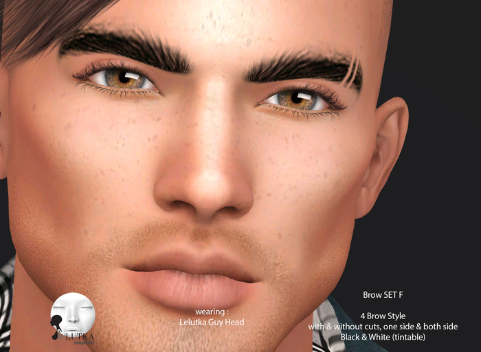 Second Life Marketplace - [X-Star] Eyebrow SET F - Lelutka