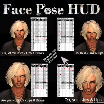 Second Life Marketplace - Face Expression / Pose HUD