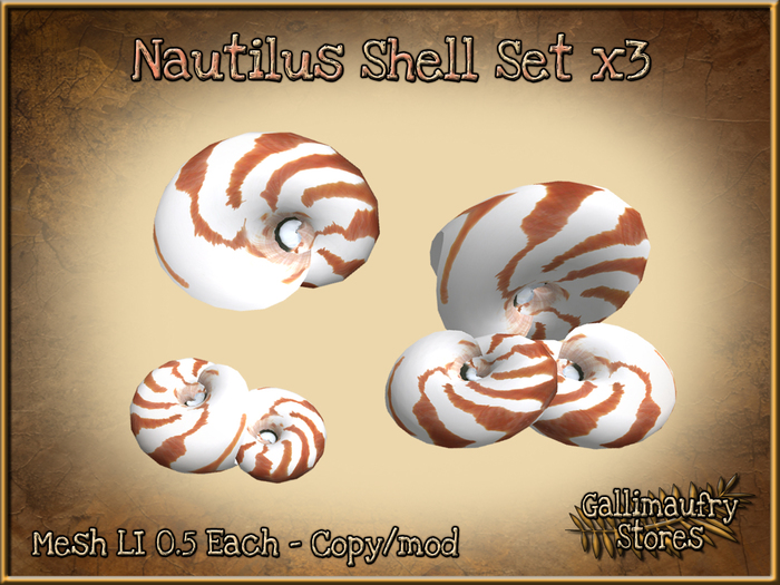 Second Life Marketplace - *GALLI* - MESH - Nautilus Shell Set ...