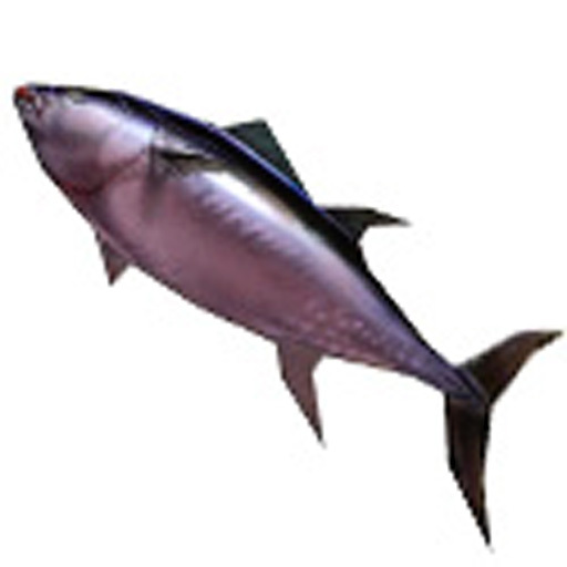 Second Life Marketplace - Tuna [20] [G&S]