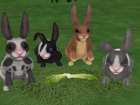 Second Life Marketplace - DFS Rabbit Buck