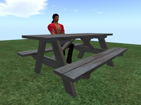 Second Life Marketplace - TM Picnic Table with poses