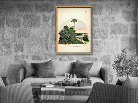 Second Life Marketplace - Vintage Palm Illustration - Calamus Equestris ...