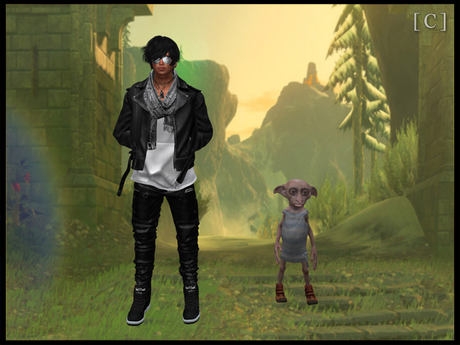 Second Life Marketplace - [C] Animesh Follower - Dobby (Wear)