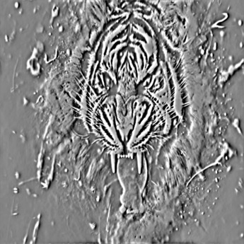 Second Life Marketplace - [ML] Fire Tiger 3D Texture (Box)