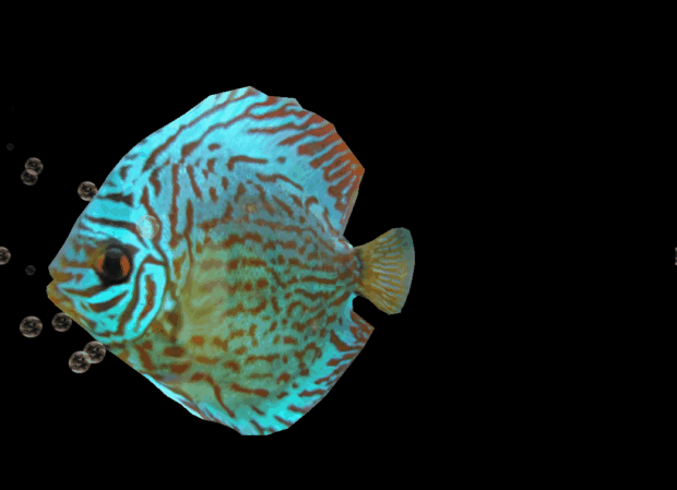 Second Life Marketplace - Discus Blue - fully animated sculpted free ...