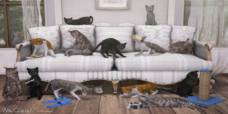 Second Life Marketplace - Mutresse-In heat-Witty Cats