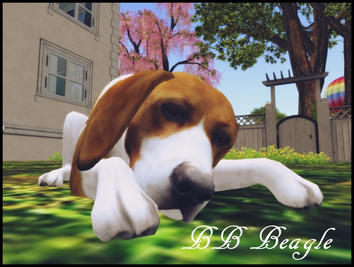 Second Life Marketplace - BB Beagle Box