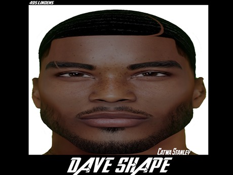 Second Life Marketplace - Dave Shape - Guapo Shapes