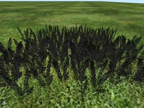 Second Life Marketplace - Edge of Darkness ~ Forest Floor Fern ~ Dead ...
