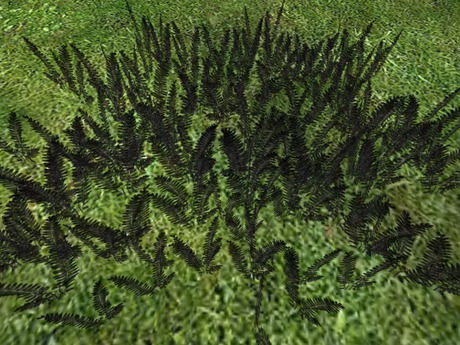Second Life Marketplace - Edge of Darkness ~ Forest Floor Fern ~ Dead ...
