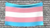 Second Life Marketplace - Wild Love - Transgender Pride Flag 100% mesh