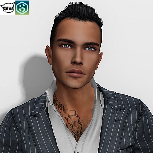Second Life Marketplace - Shape CATWA HEAD Daniel and [SIGNATURE ...