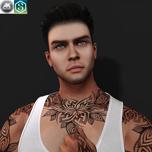 Second Life Marketplace - GIFT!!!Shape / [AK] Aron Bento Head and ...