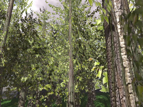 Second Life Marketplace - 16 trees Mesh - 4 Prim each