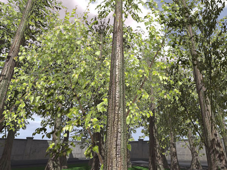 Second Life Marketplace - 16 trees Mesh - 4 Prim each