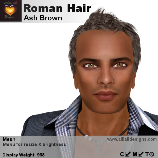 Second Life Marketplace - A&A Roman Hair Ash Brown V2, boxed