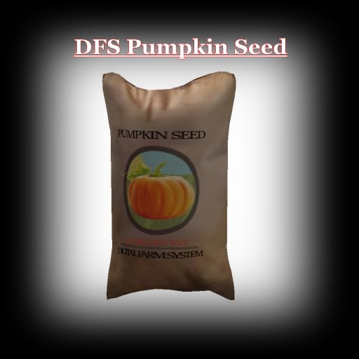 Second Life Marketplace - DFS TEXTURE - DFS Pumpkin Seed