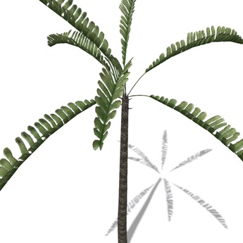 Second Life Marketplace - T-Spot Mesh - Triassic "Tree" - Leptocycas ...
