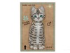 Second Life Marketplace - KittyCatS Box - 6 T - M - Toyger - Blue
