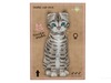 Second Life Marketplace - KittyCatS Box - 7 T - F - Toyger - Blue