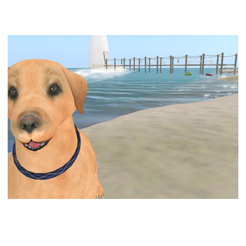 Second Life Marketplace - The Labrador Retriever: Animated Pet Dog