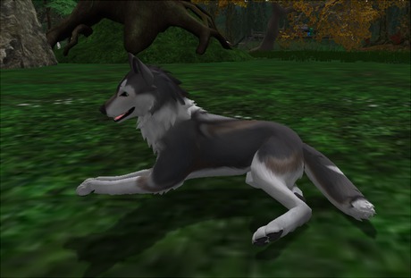 Second Life Marketplace - ~S.S~ TWI Wolf Aplier - Gray Wolf