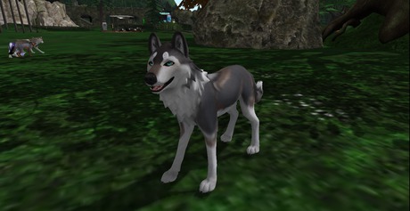 Second Life Marketplace - ~S.S~ TWI Wolf Aplier - Gray Wolf