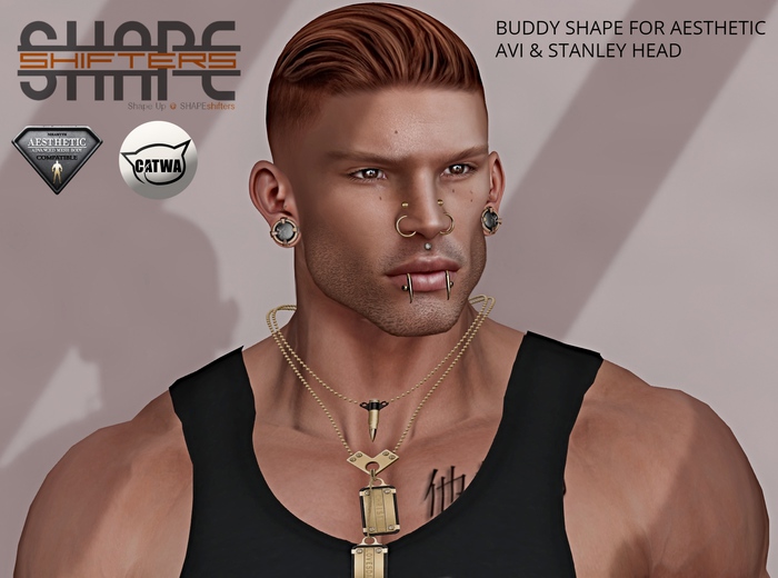 Second Life Marketplace - [SHAPEshifters] BUDDY SHAPE FOR AESTHETIC AVI ...