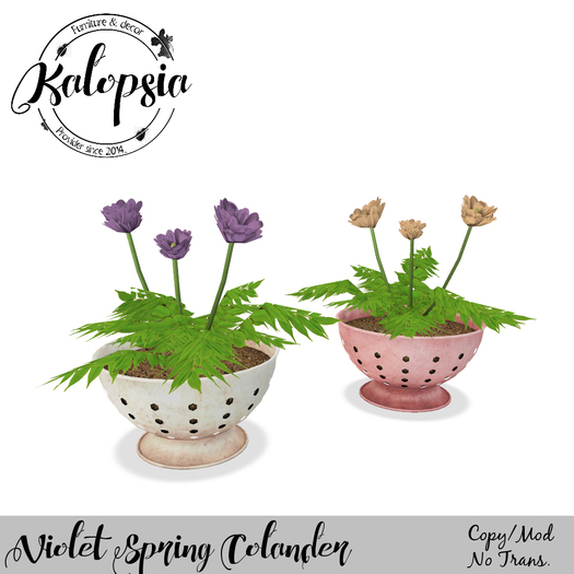 Second Life Marketplace - Kalopsia - Violet Spring - Colander Flowers