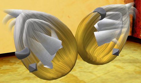 Second Life Marketplace - Gold Dust Neko Ears & Tail (box)