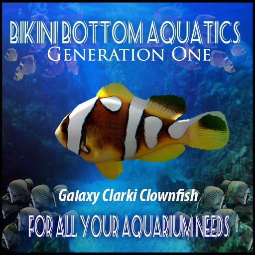 Second Life Marketplace - Galaxy Clarki Clown fish SB