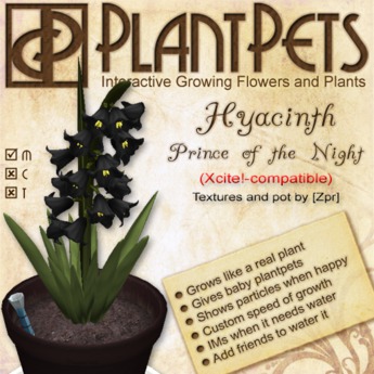 Second Life Marketplace - PlantPet Seed [Hyacinth *Prince of the Night ...