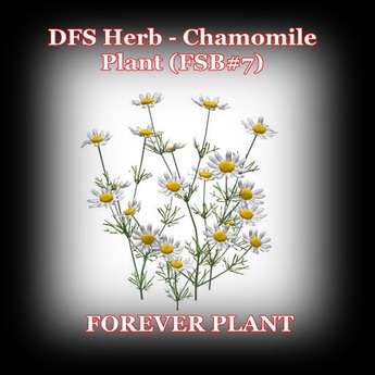Second Life Marketplace - DFS TEXTURE - DFS Herb - Chamomile Plant (FSB#7)