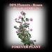 Second Life Marketplace - DFS TEXTURE - DFS Flowers - Roses Purple (FSB#2)