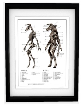 Second Life Marketplace - Frame. Minotaur's anatomy. ON/OFF