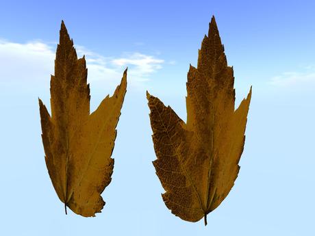 Second Life Marketplace - Autumn Fall Leaves Transparent Alpha Textures ...