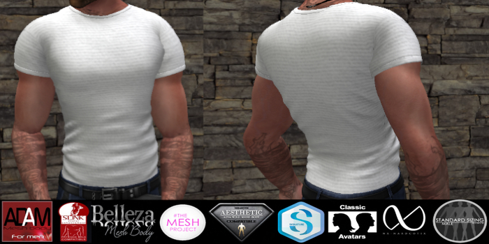 Second Life Marketplace - White T-Shirt for Mesh and Classic Bodies
