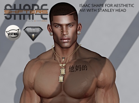 Second Life Marketplace - [SHAPEshifters] ISAAC SHAPE FOR AESTHETIC ...