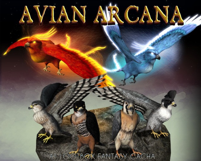 Second Life Marketplace - JIAN Avian Arcana 6. Orange Breasted Falcon ...