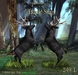 Second Life Marketplace - *UI* Black Stags Rearing v